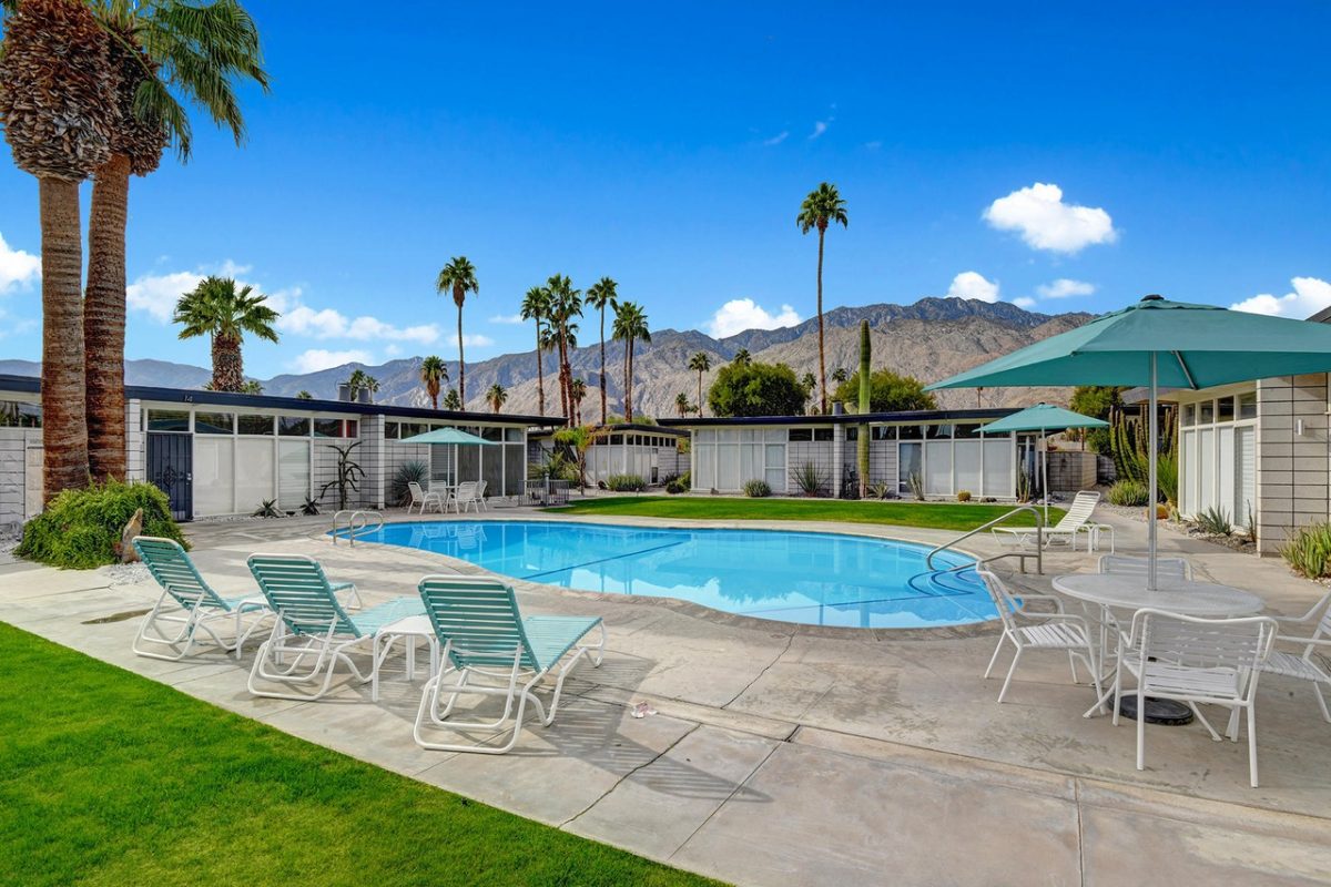 Desert Holly – Palm Springs Preservation Foundation